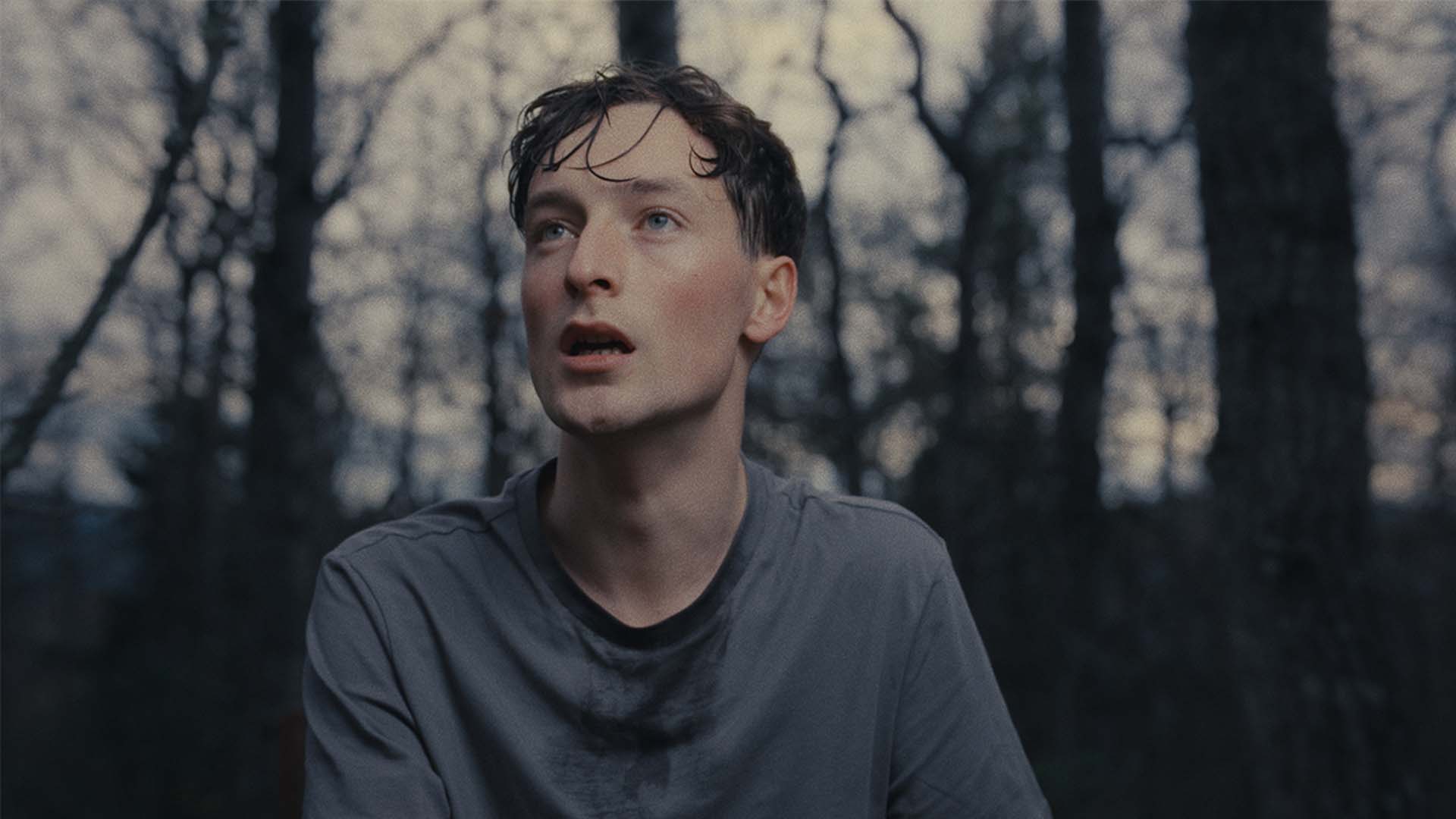 Tistlebu | SCREAMFEST